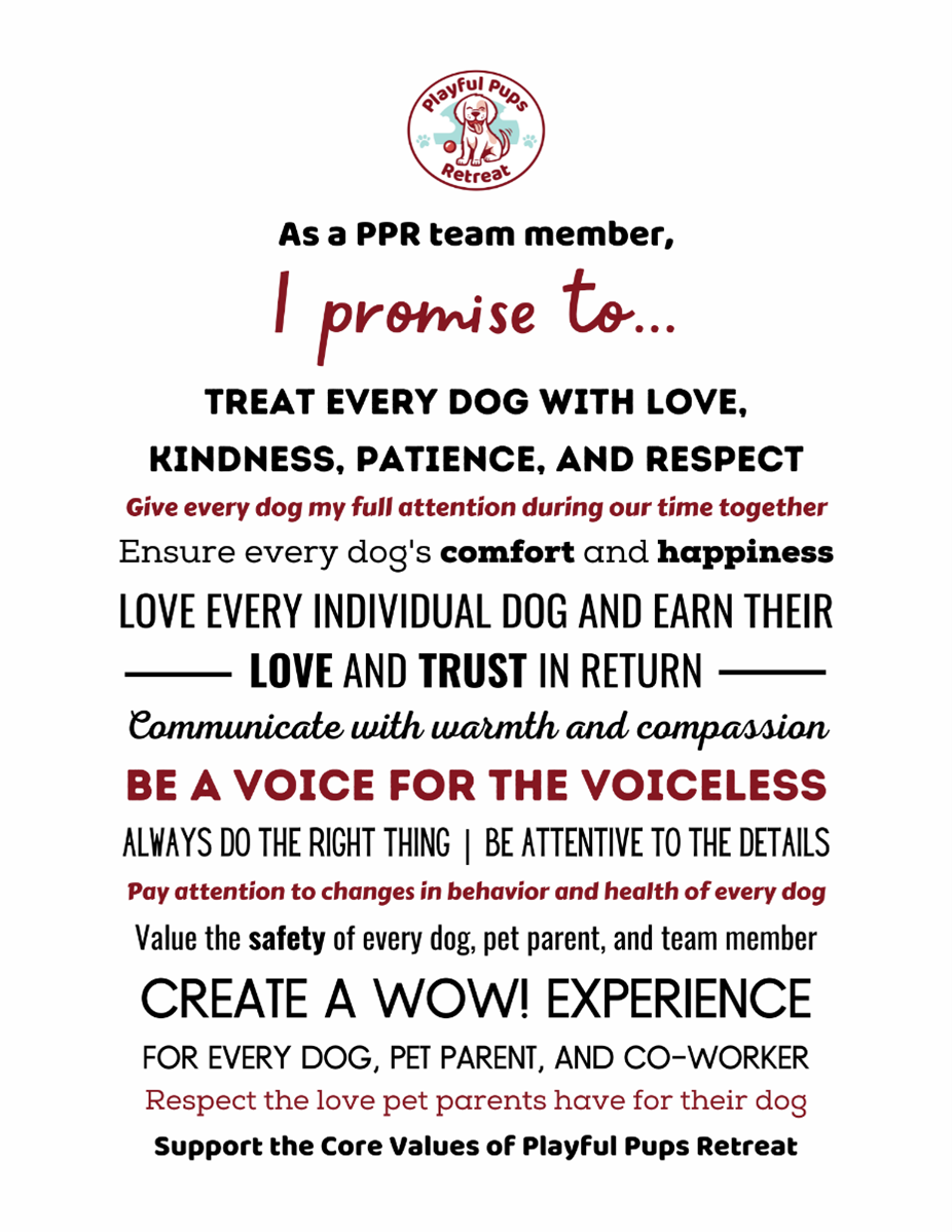 The Playful Pups Retreat Promise to Your Dog - Playful Pups Retreat