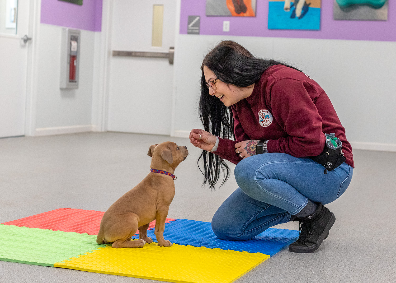 What Does a Puppy’s Path to Success Look Like? - Playful Pups Retreat