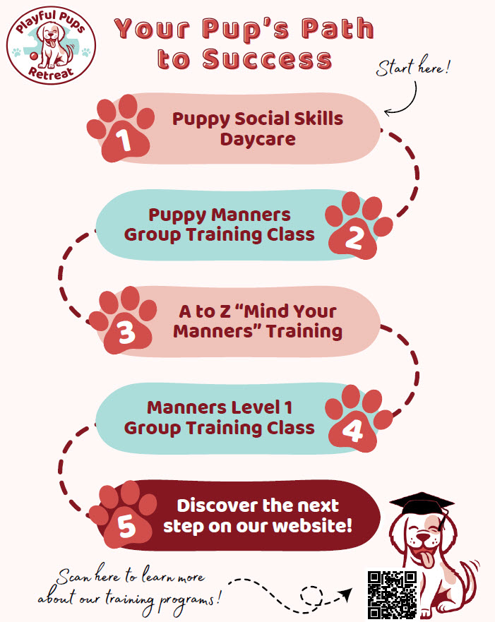 What Does a Puppy’s Path to Success Look Like? - Playful Pups Retreat